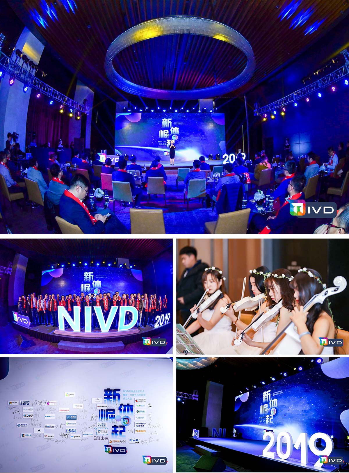 品牌从0到1的创意设计 NIVD新一代体外诊断创新运营平台 - 青橙lime