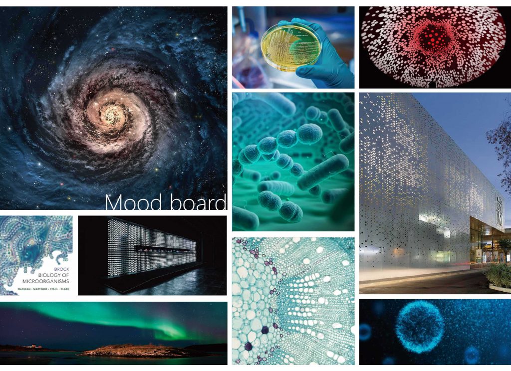 SCITOP BIO 科拓生物-金华银河菌种工厂 - 青橙lime